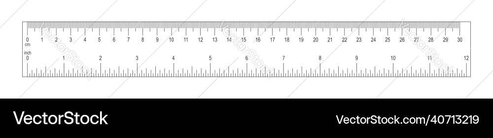 Horizontal ruler with 30 centimeter and 12 inch Vector Image