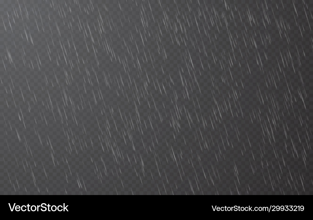 Rain drops on transparent background falling Vector Image