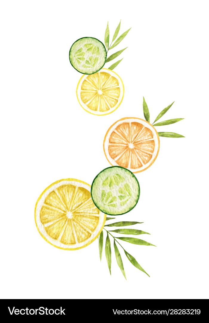 Watercolor card with lemon cucumber slices Vector Image