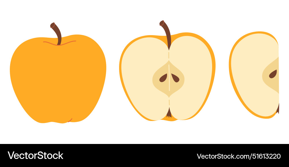 Cute apple object collectionwhole cut in half Vector Image
