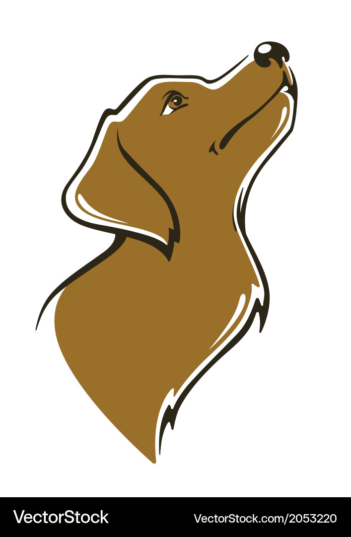 Golden Labrador Retriever Royalty Free Vector Image