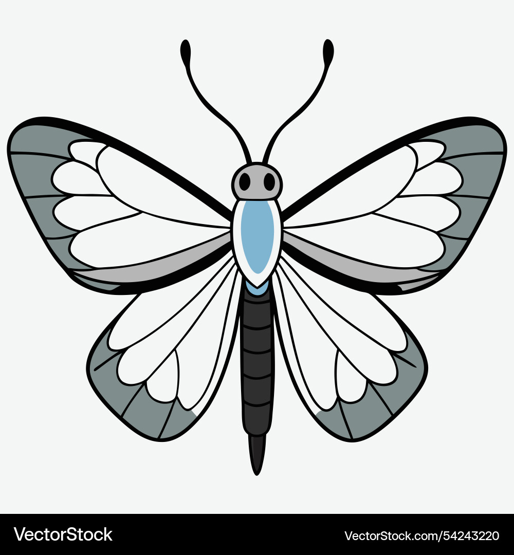 Long-tailed skipper butterfly on a white Vector Image