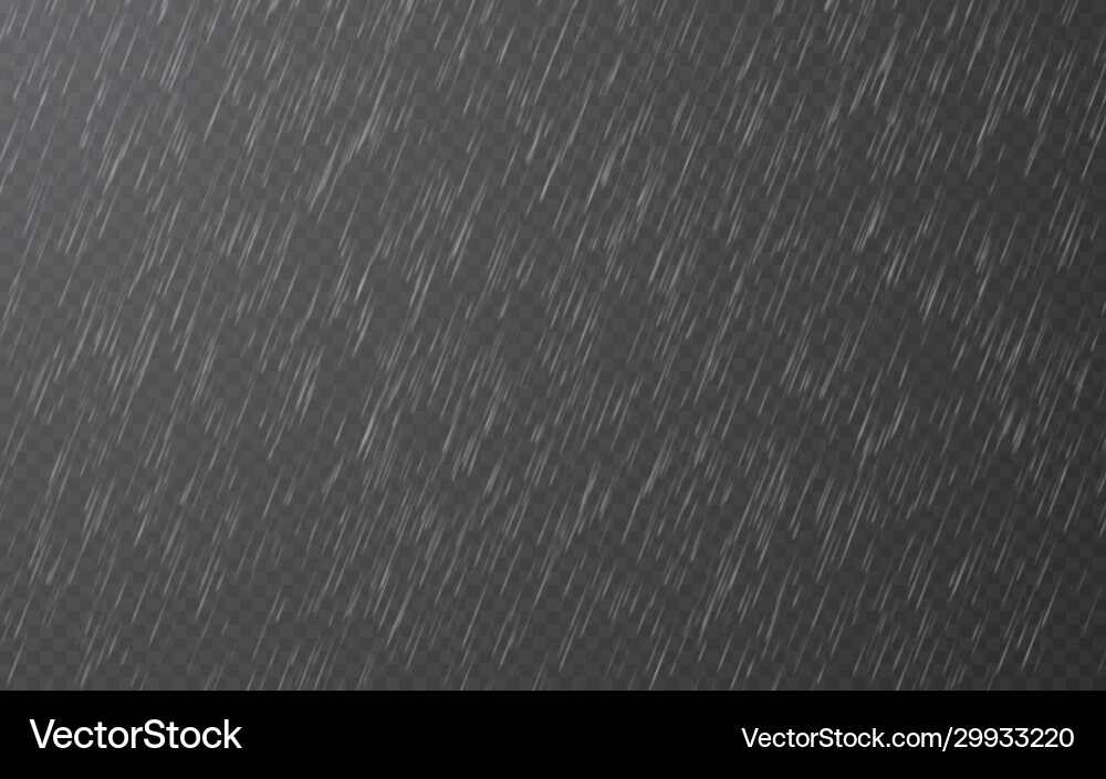 Rain drops on transparent background falling Vector Image