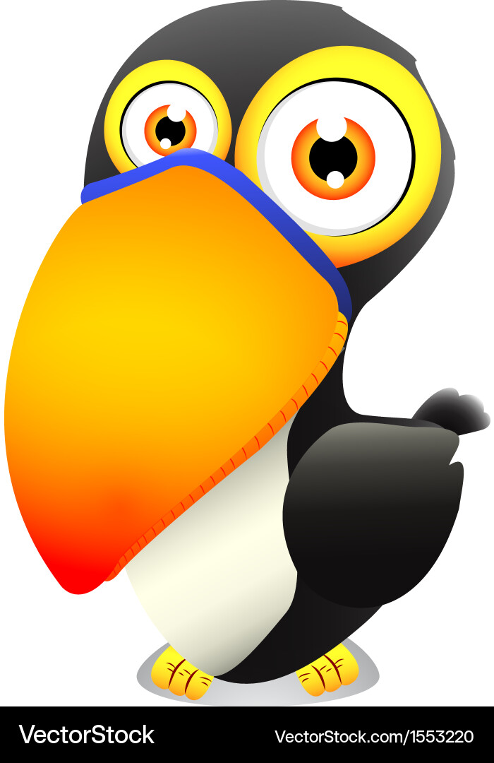 Toucan bird Royalty Free Vector Image - VectorStock