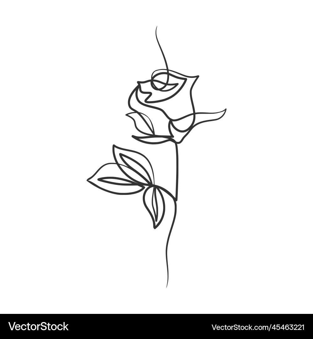 Continuous Line Rose Flower Royalty Free Vector Image