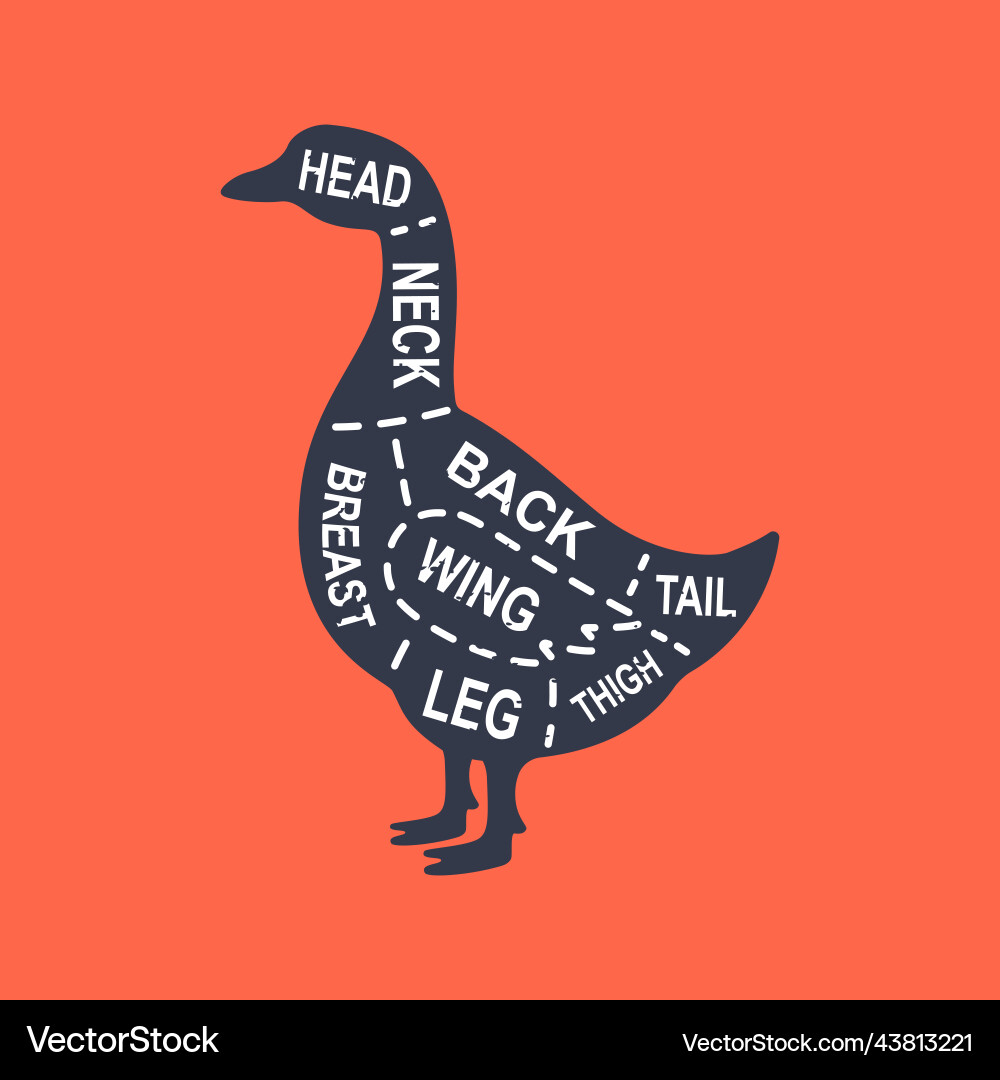 Goose diagram cuts butcher scheme poster Vector Image