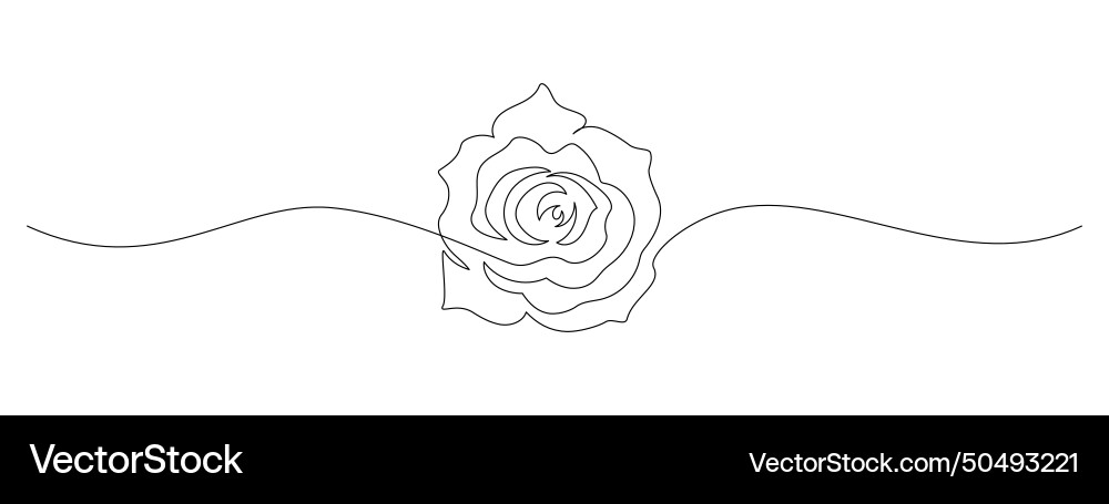 One continuous line drawing of rose flower peony Vector Image