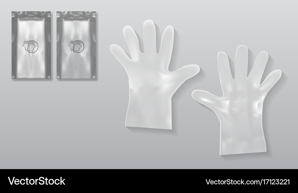 Transparent Plastic Gloves with Packaging Vector Image
