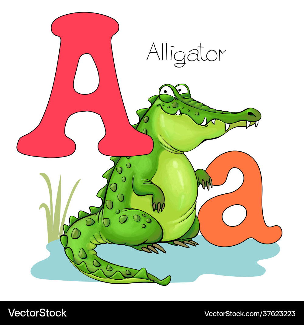 Animal alphabet Royalty Free Vector Image - VectorStock