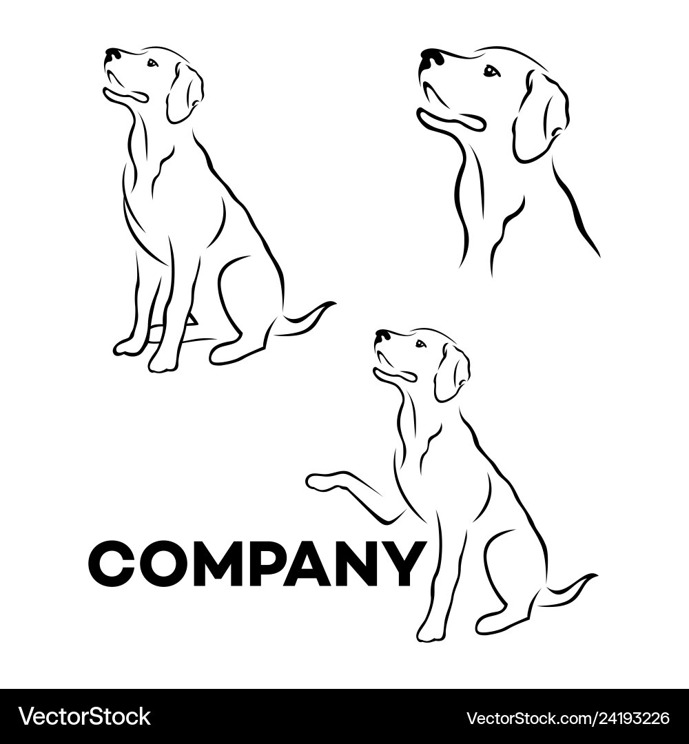 Dog labrador logo Royalty Free Vector Image - VectorStock