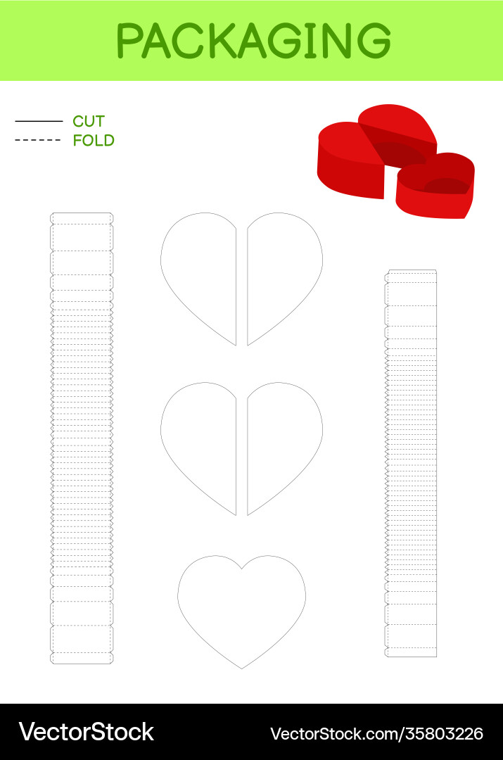 Heart box packaging die cut template design Vector Image