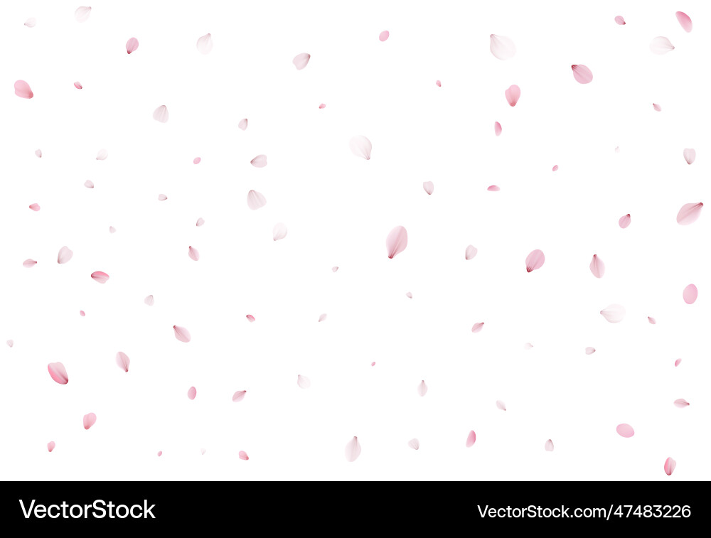 Romantic Sakura Blossom Background Royalty Free Vector Image