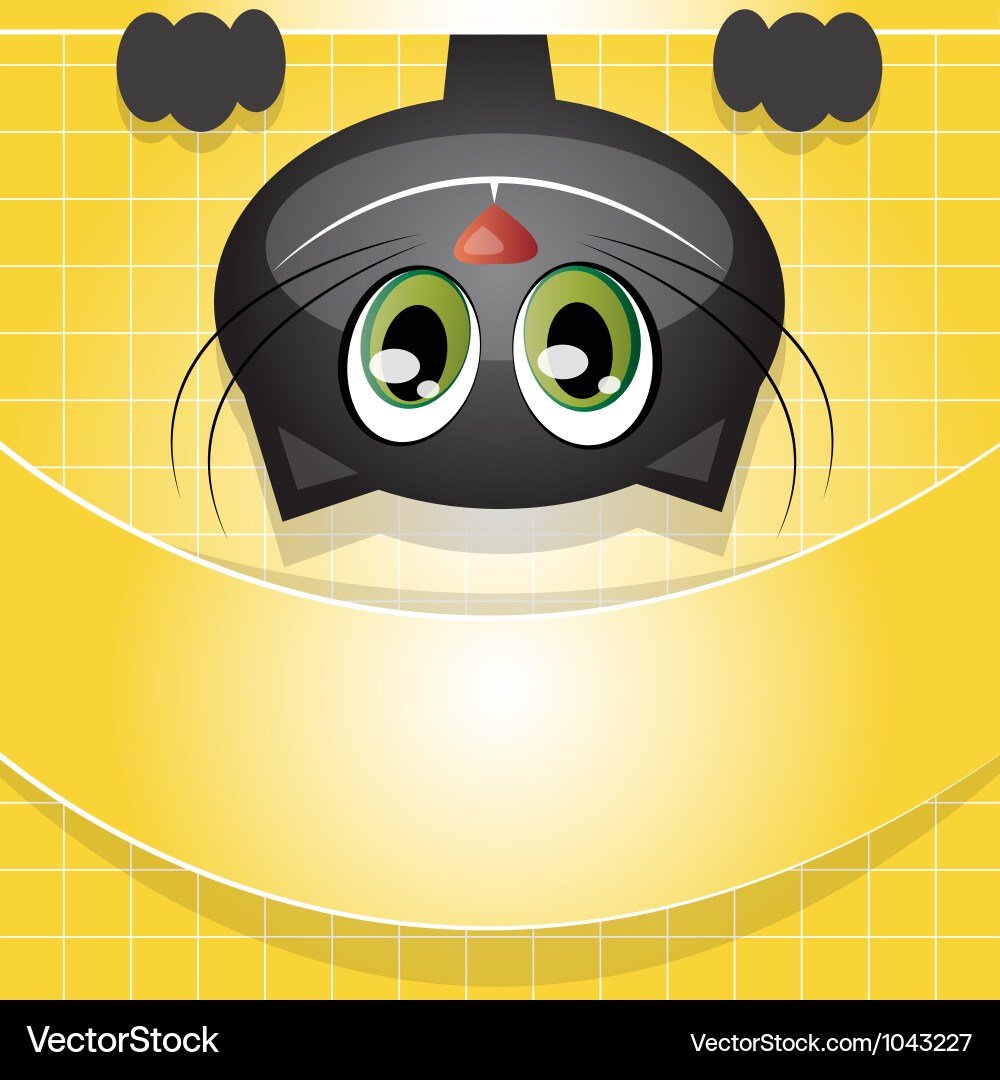 Cat invitation background Royalty Free Vector Image