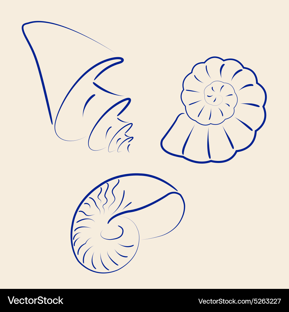Hand drawn collection of various seashells Vector Image