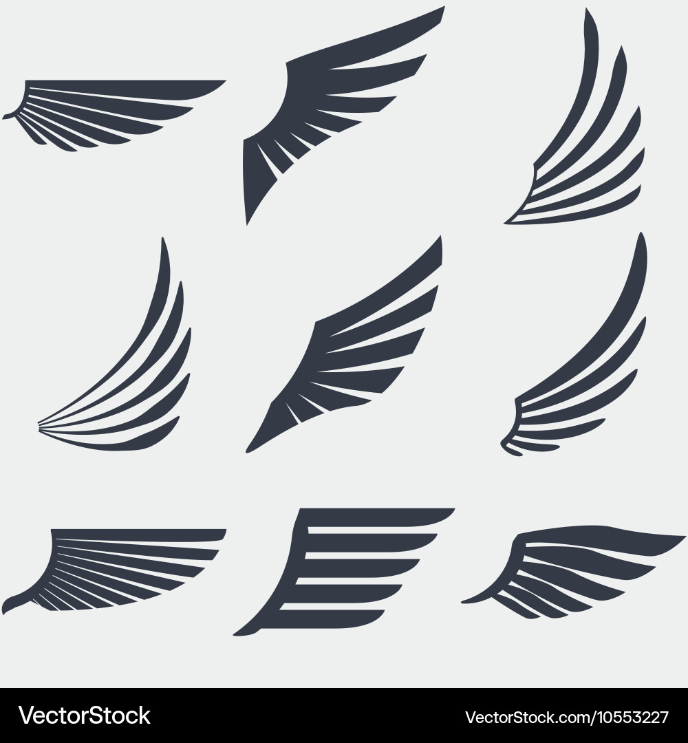 Wings set Royalty Free Vector Image - VectorStock