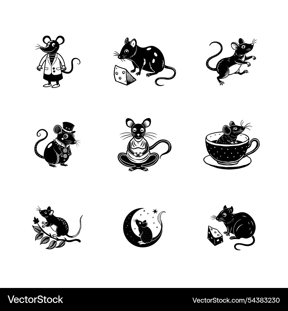 Mouse image Royalty Free Vector Image - VectorStock