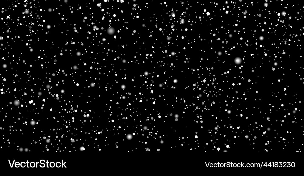 Realistic falling winter snow flakes on black Vector Image
