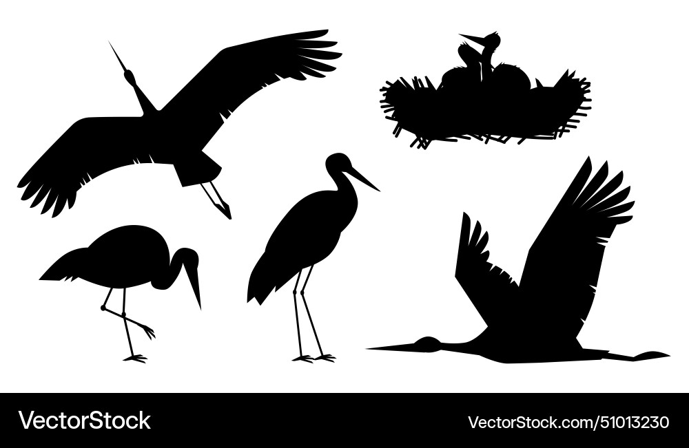 Silhouette stork set in flight and nesting Vector Image
