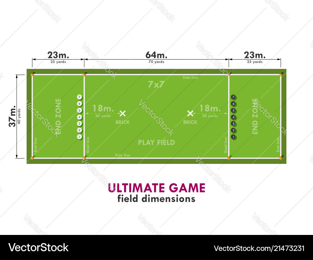 Dimensions of the field for game Royalty Free Vector Image