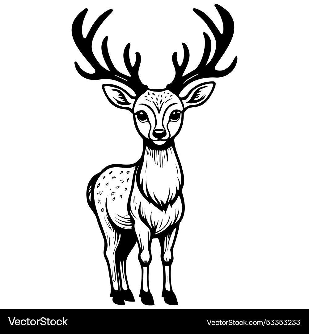 Realistic cartoon deer isolated hand drawn line Vector Image