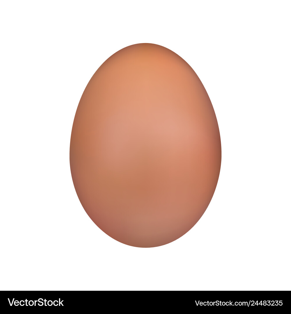 Brown egg chicken easter symbol isolated Vector Image