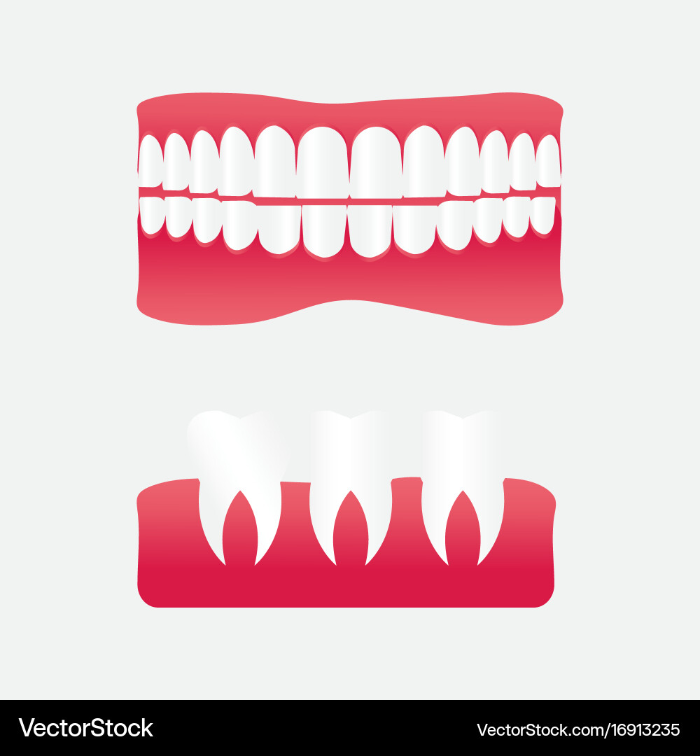 False Teeth Cartoons