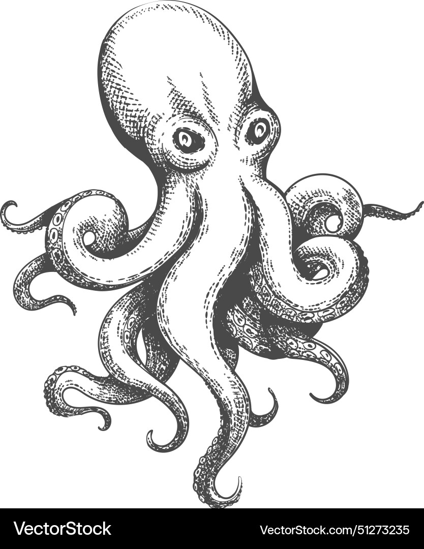 Devilfish retro sketch on white Royalty Free Vector Image