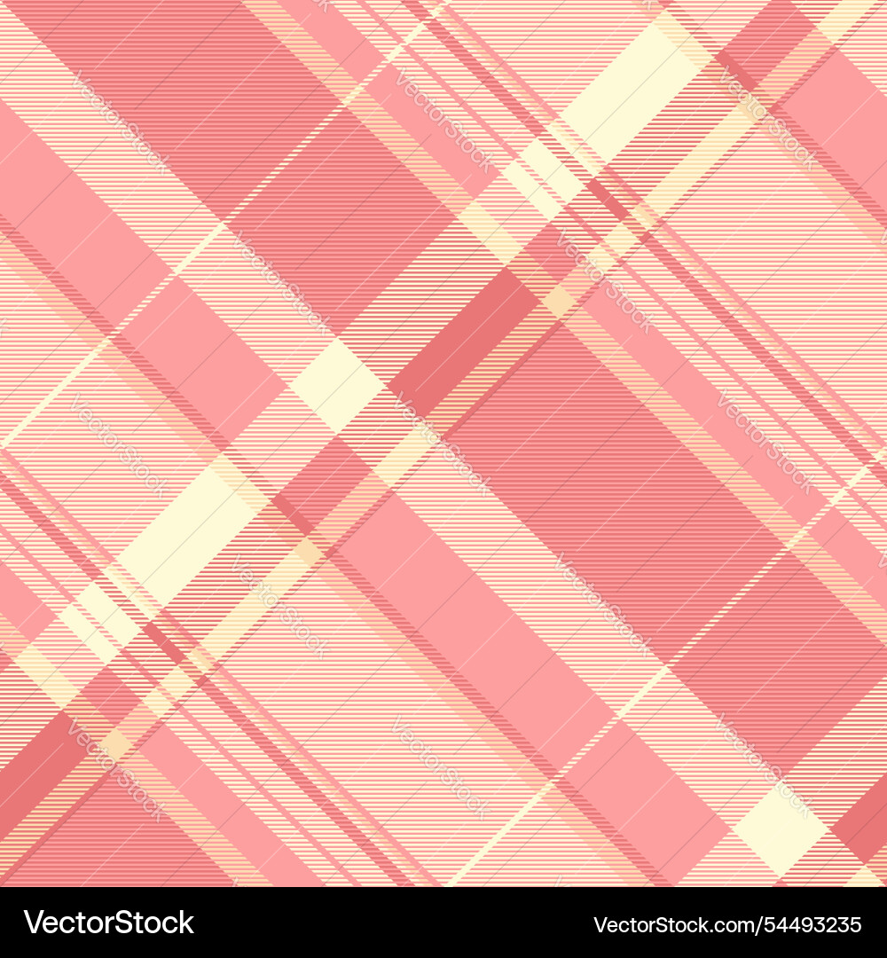 International textile pattern close up fabric Vector Image