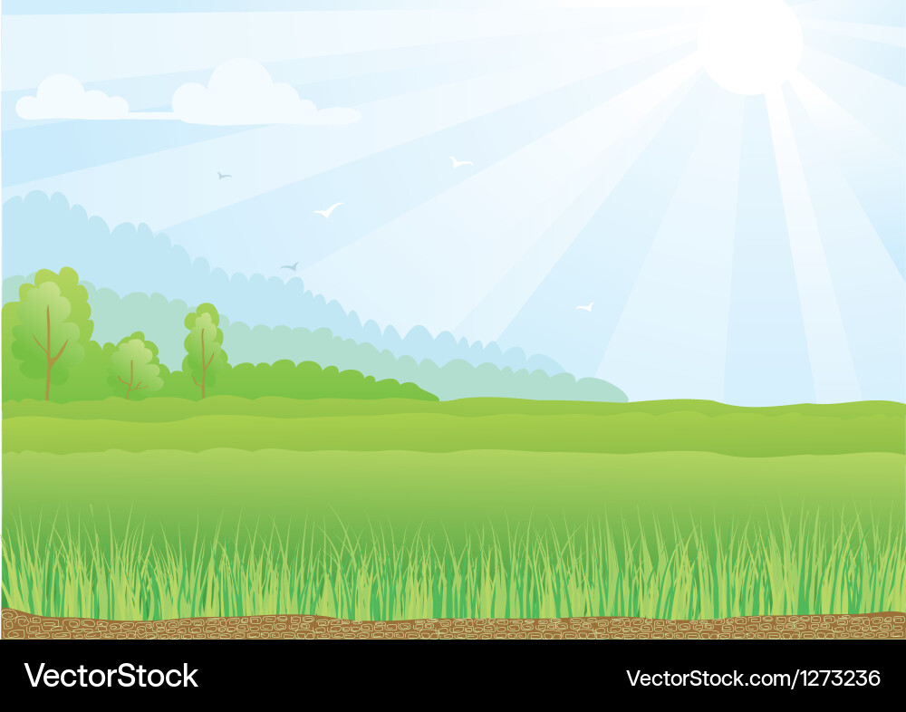 Green field with sunshine rays Royalty Free Vector Image