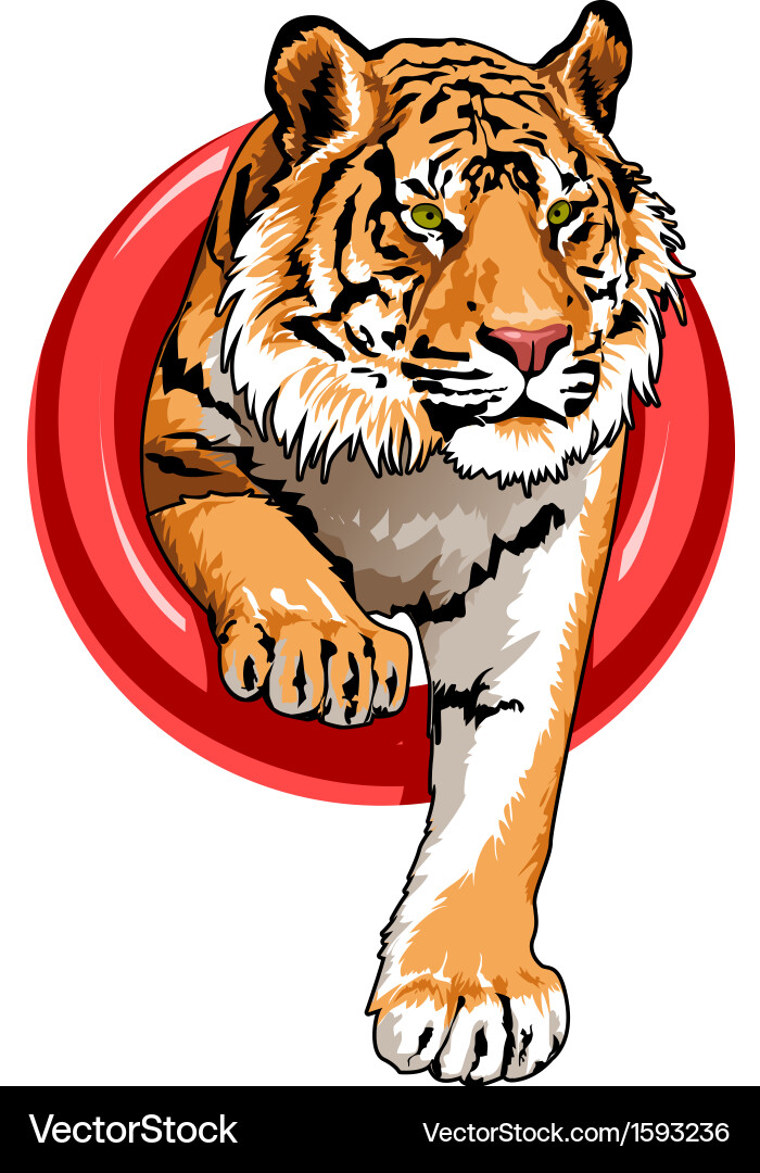 Tiger Royalty Free Vector Image - VectorStock