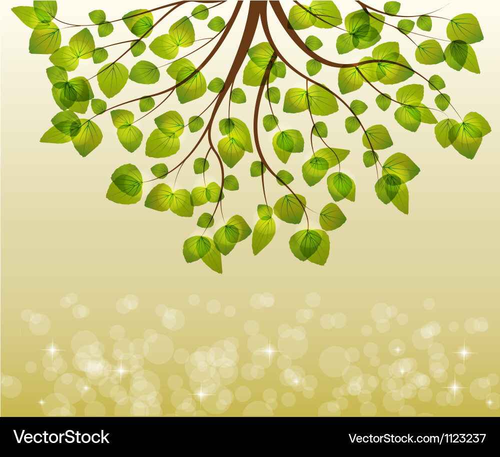 Branch Royalty Free Vector Image - VectorStock