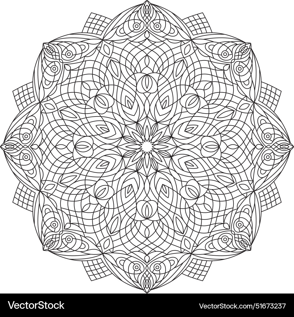 Mandala symmetry design Royalty Free Vector Image