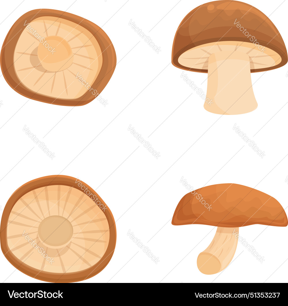 Shiitake icons set cartoon asian Royalty Free Vector Image