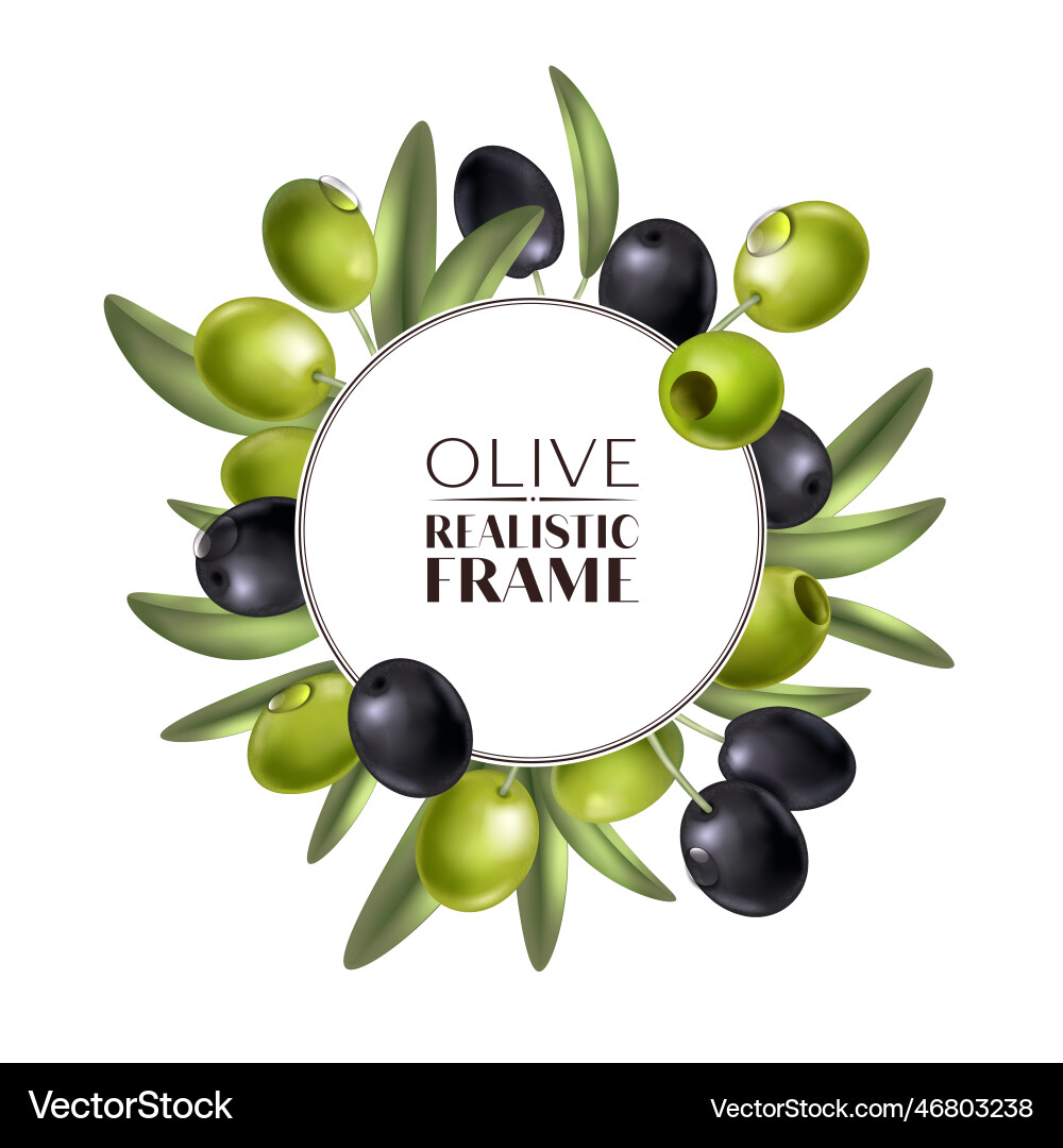 Realistic olive round composition Royalty Free Vector Image