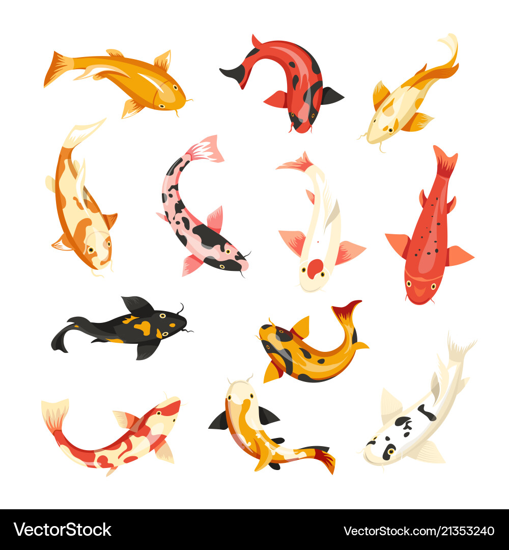 Carp fish icons top view Royalty Free Vector Image
