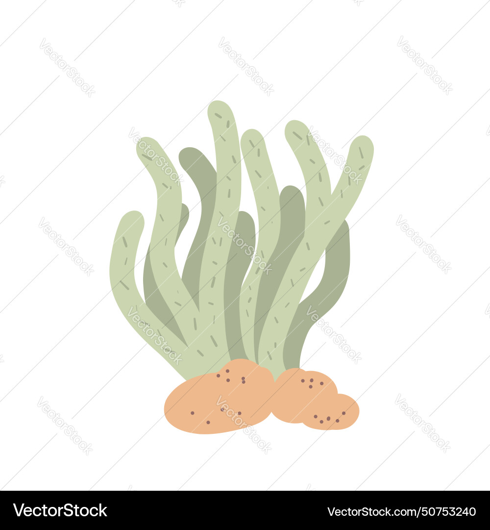 Coral reef with stone isolated on white Royalty Free Vector