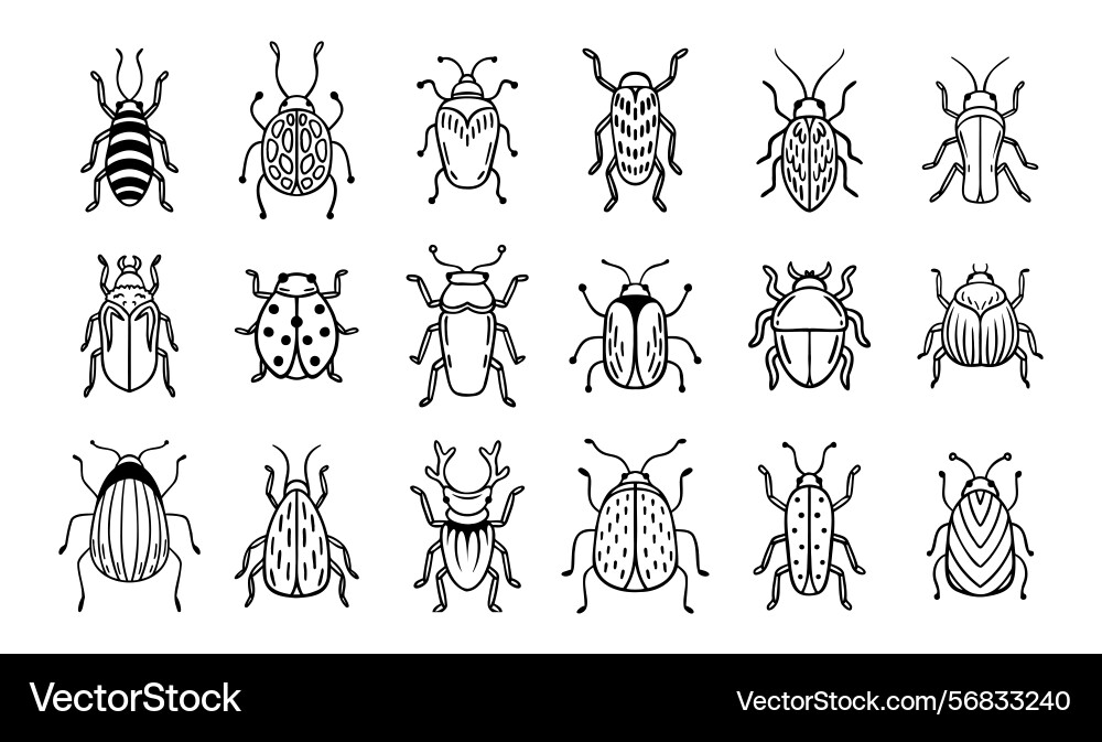 Garden bugs hand drawn outline doodle icon set Vector Image
