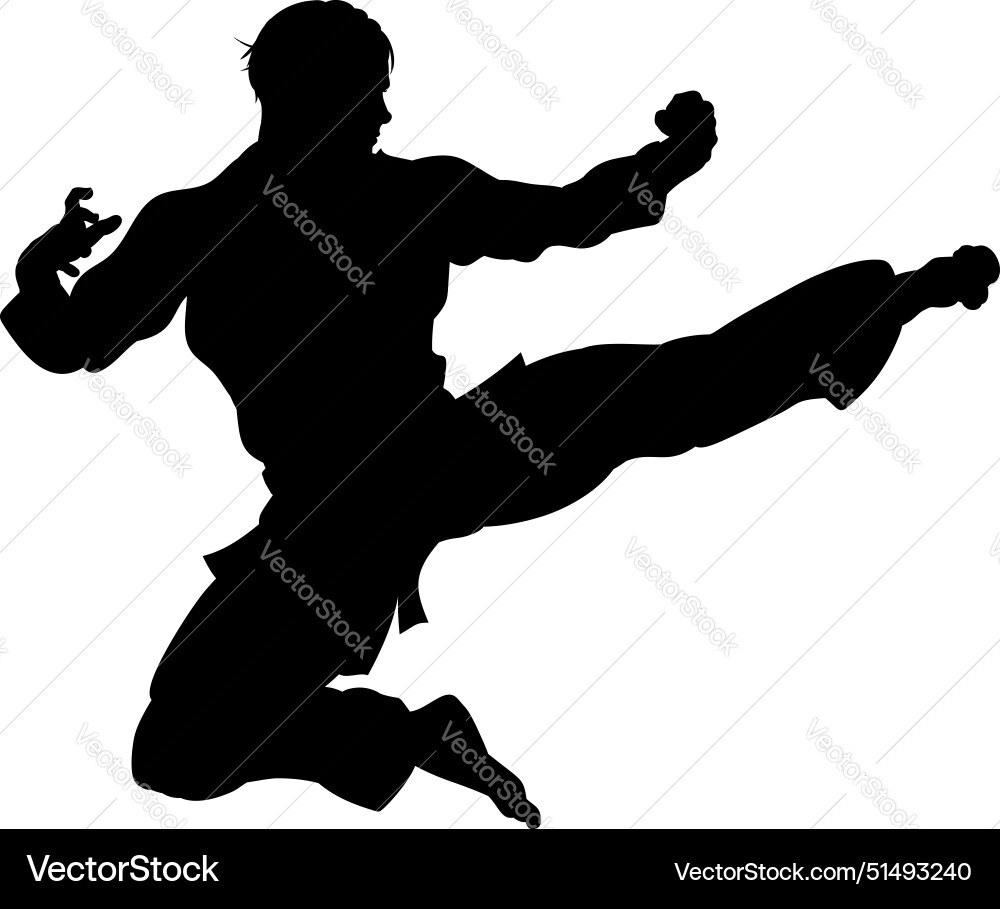 Karate or kung fu flying kick silhouette Vector Image