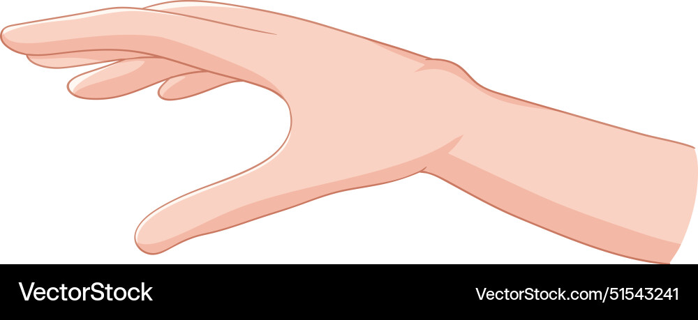 A human hand Royalty Free Vector Image - VectorStock