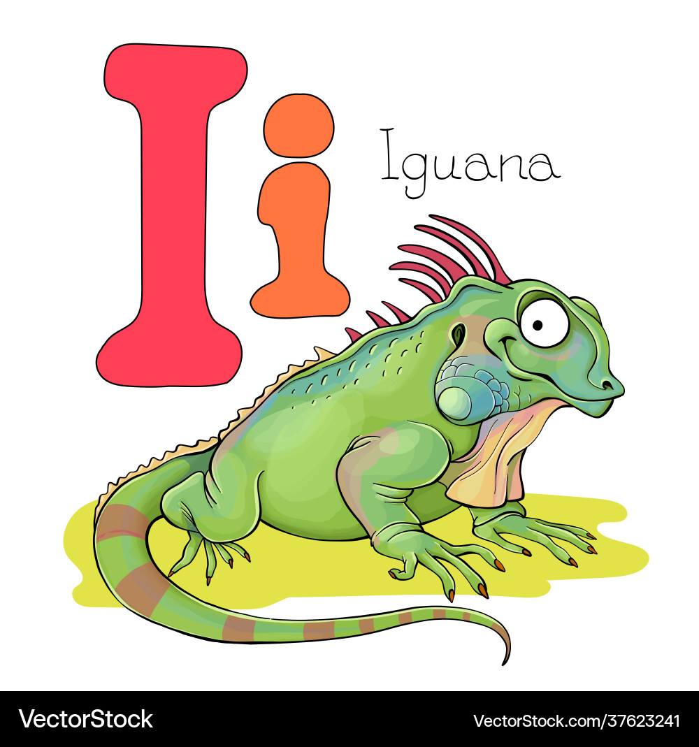 Animal alphabet Royalty Free Vector Image - VectorStock