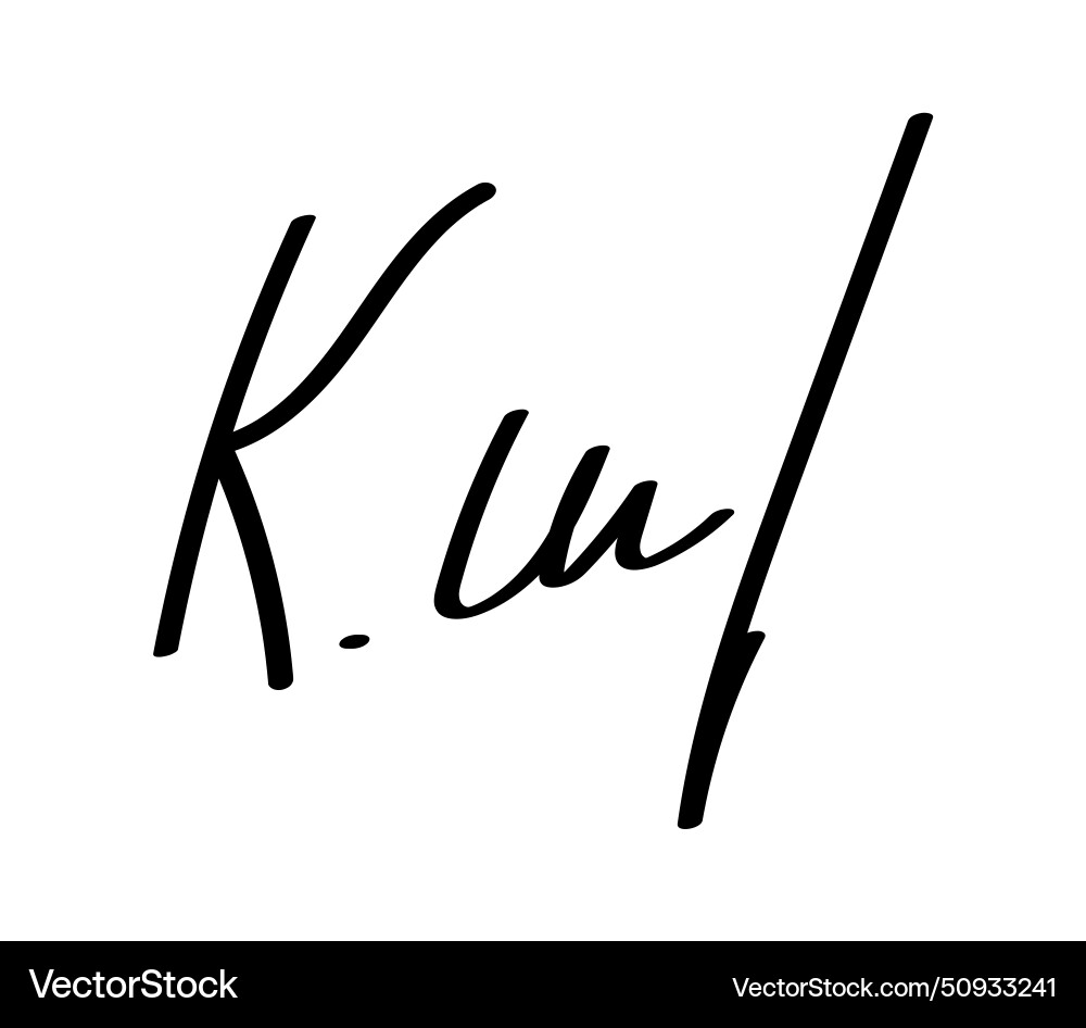 Fake handwritten signature scribble for business Vector Image