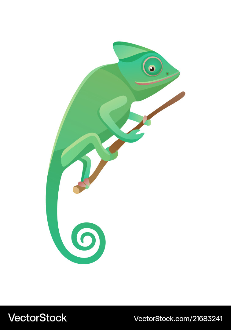 Green Lizard on Branch Royalty Free Vector Image