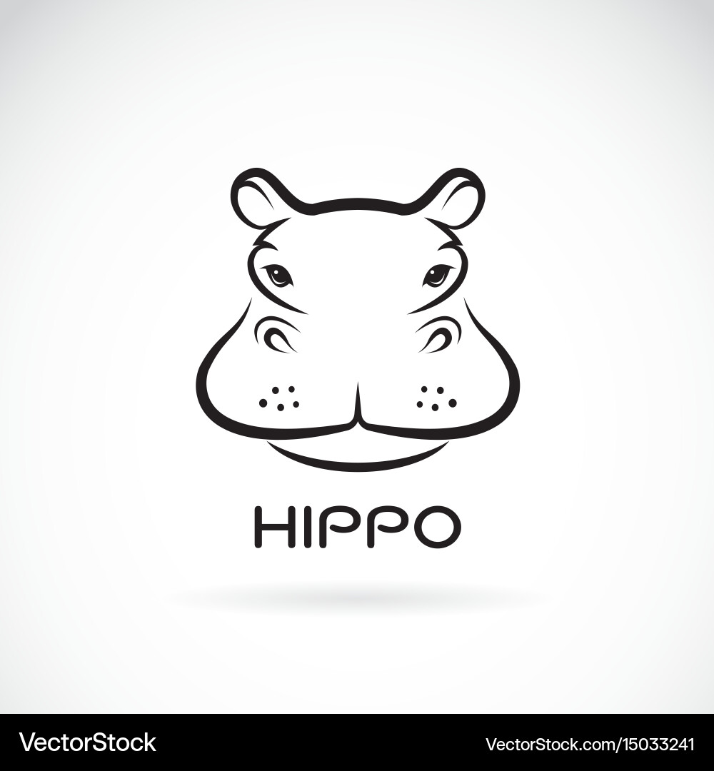 Hippo face design on white background wild Vector Image