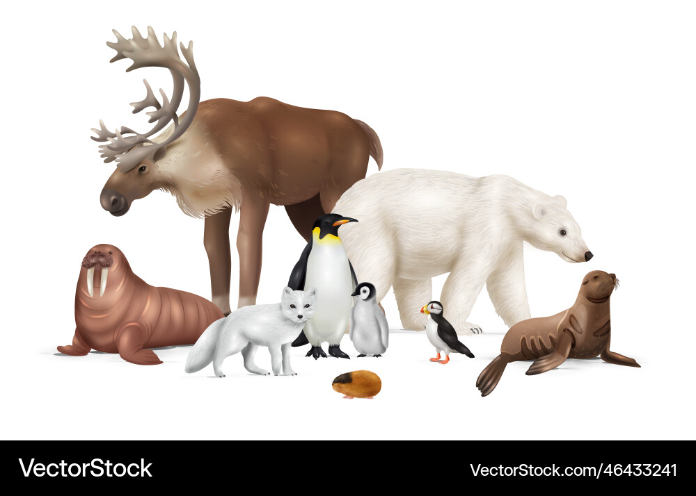 Realistic arctic animals Royalty Free Vector Image