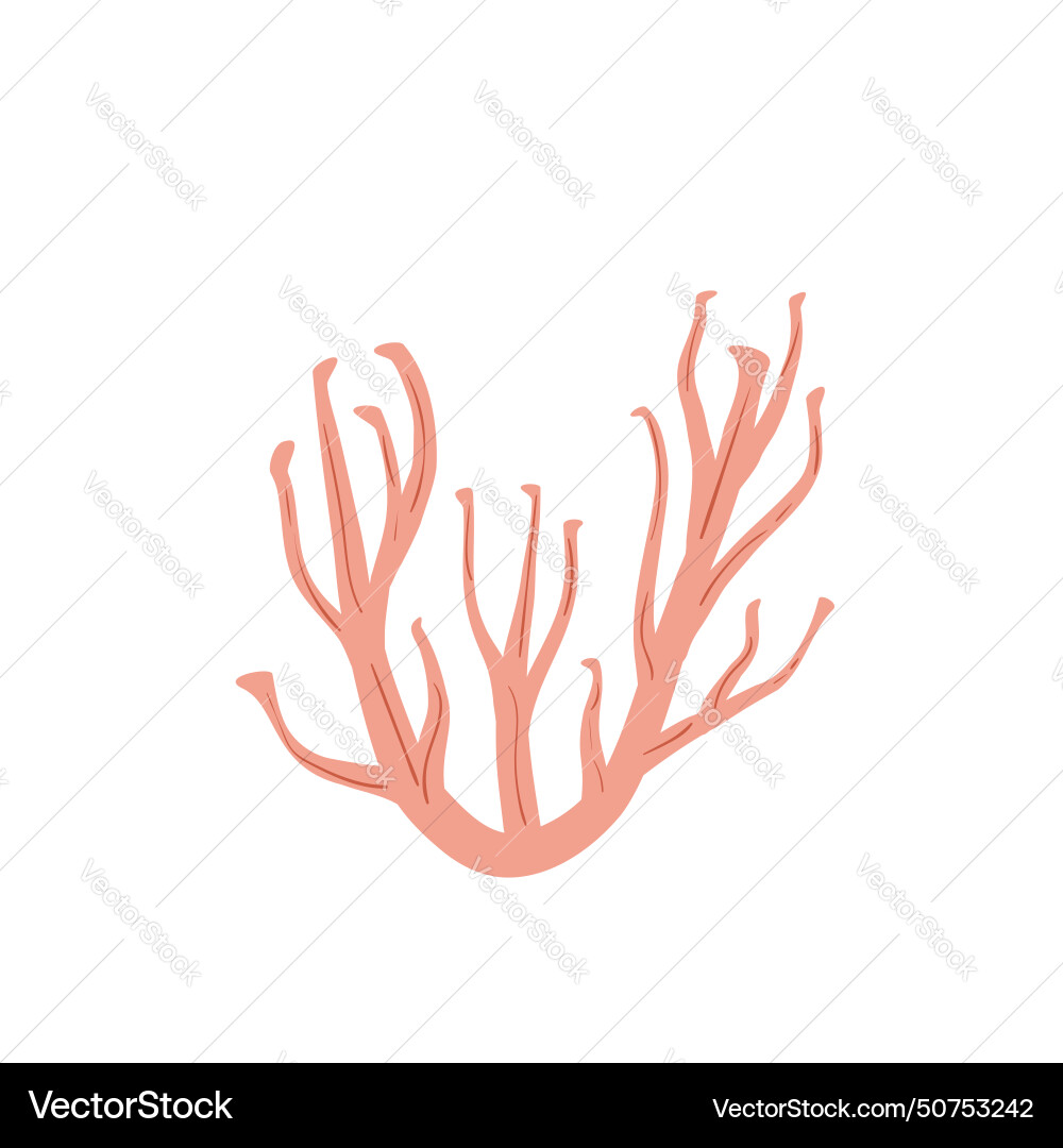 Coral reef emblem isolated on white background Vector Image