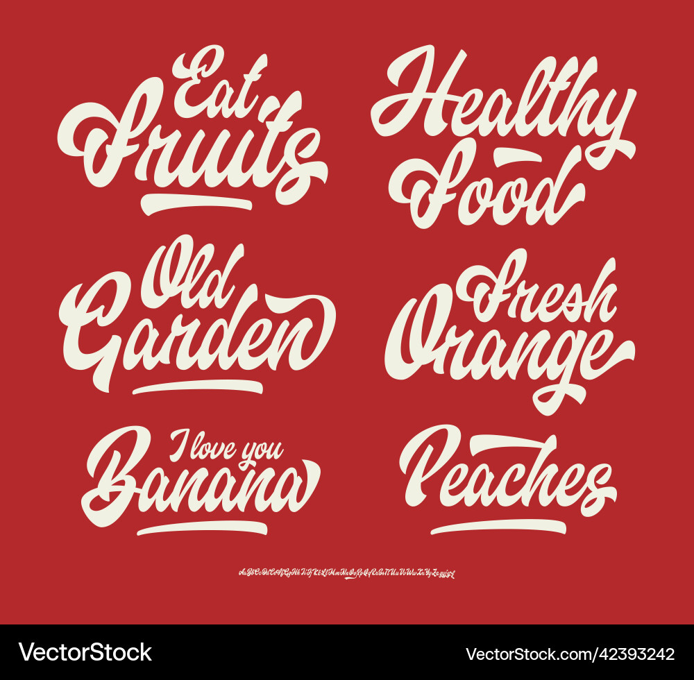 Lettering set with script font Royalty Free Vector Image