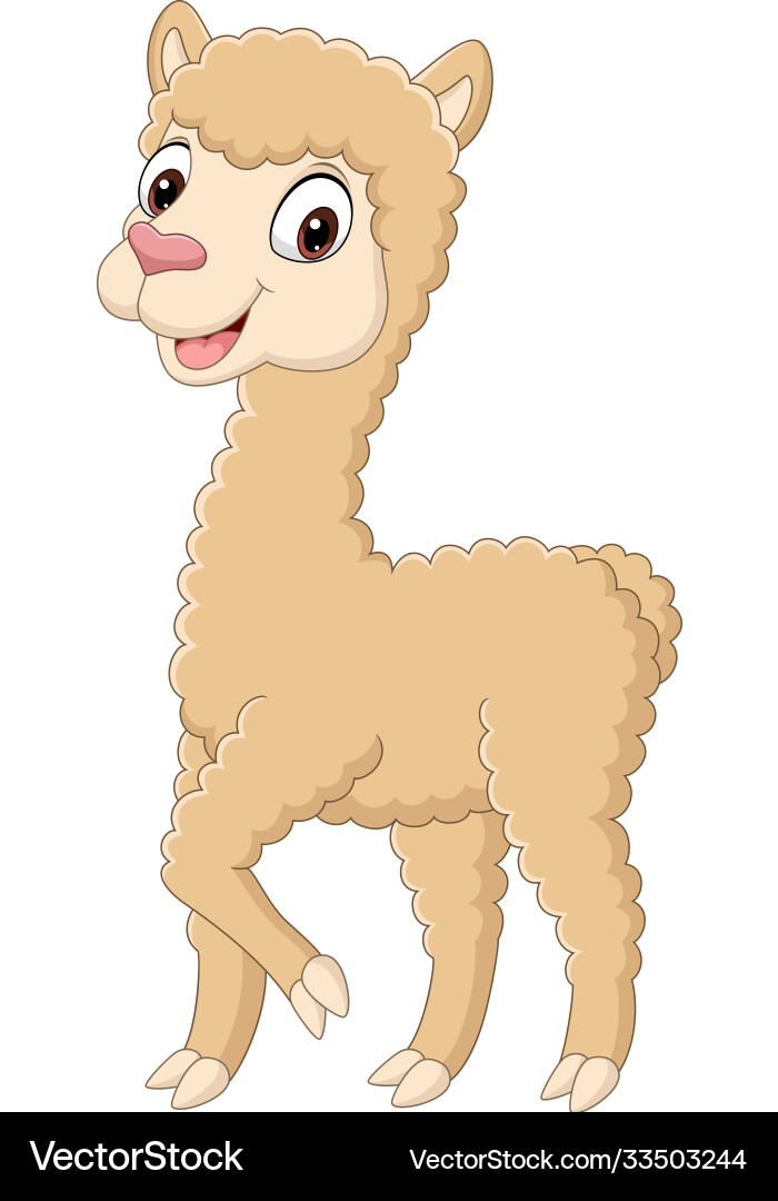 Cute little alpaca cartoon on white background Vector Image