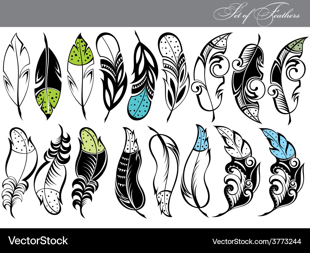 Feather collection Royalty Free Vector Image - VectorStock