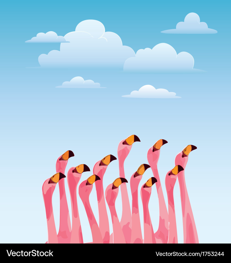 Flamingo Royalty Free Vector Image - VectorStock