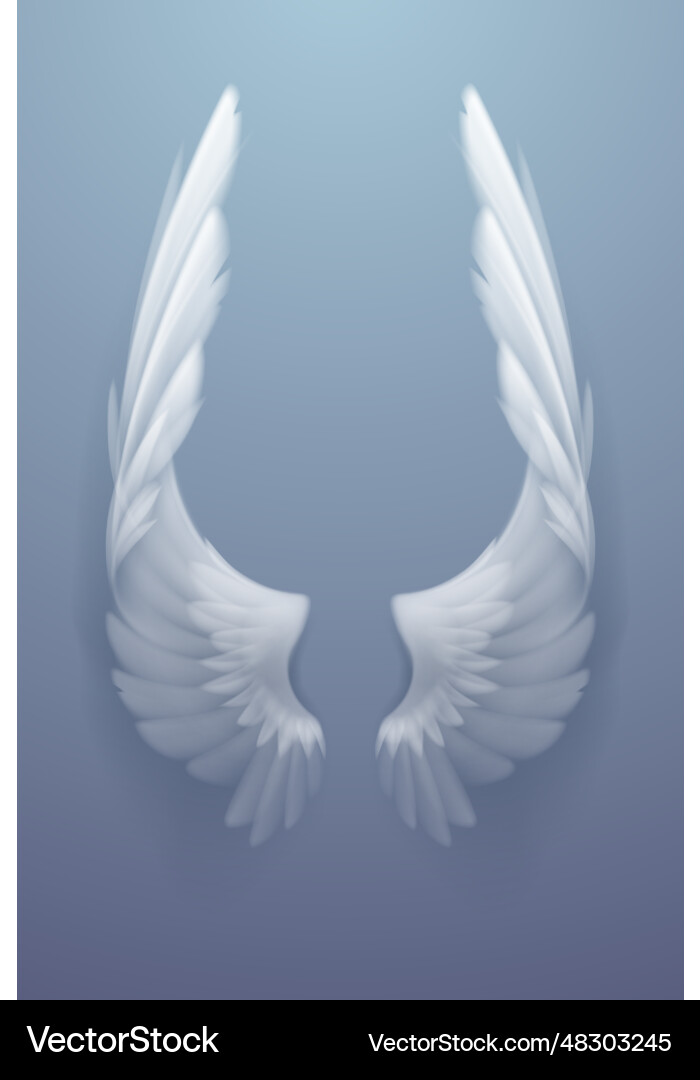 White wings on blue background Royalty Free Vector Image